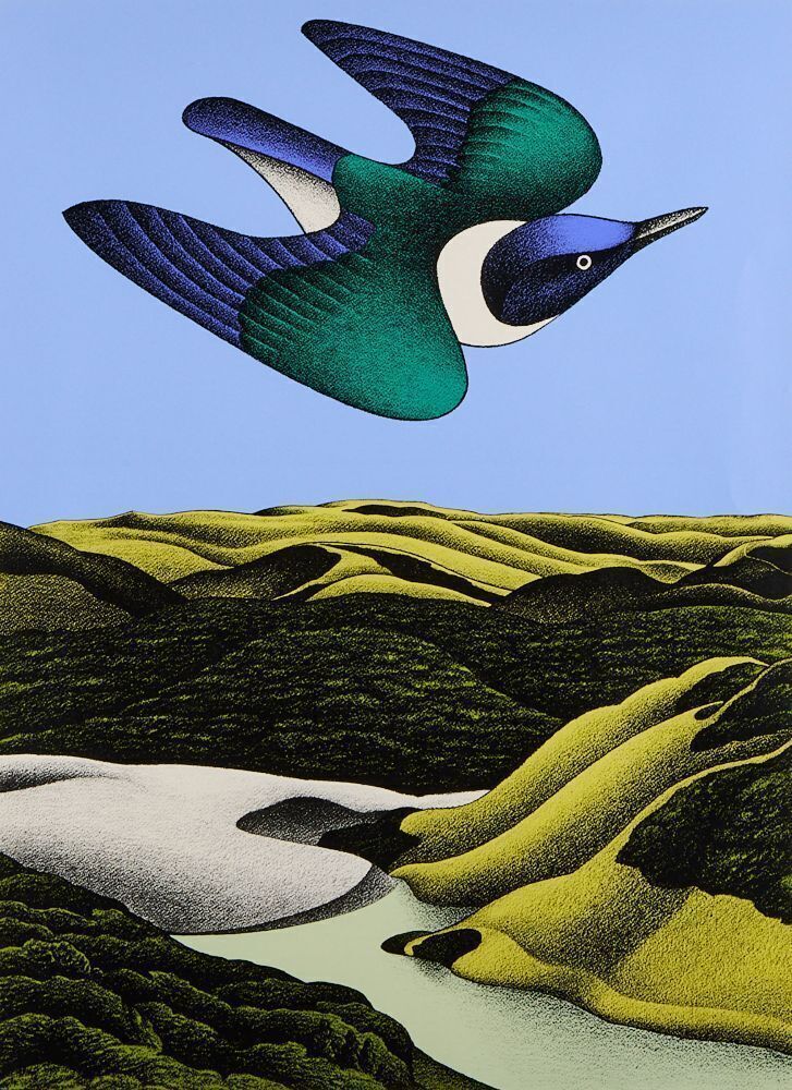 DON BINNEY Swoop of The Kotare Wainamu