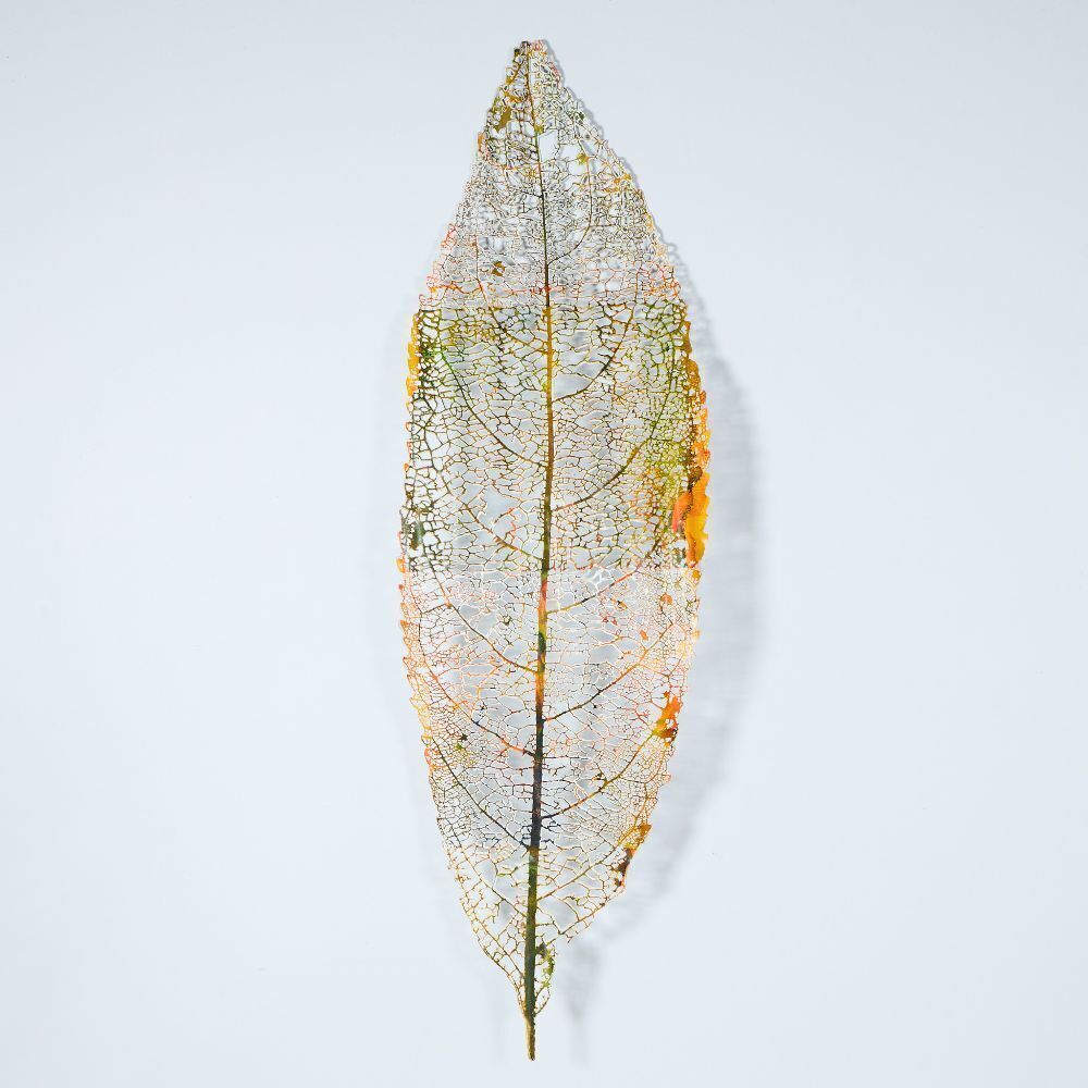 JEFF THOMSON Lace Leaf