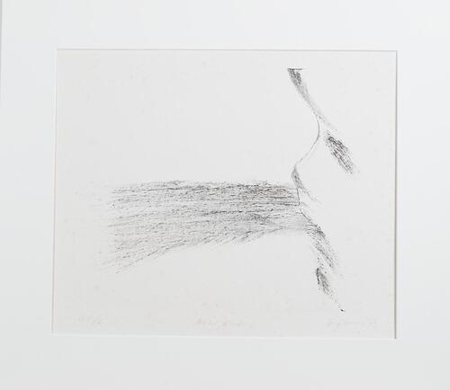 TONY FOMISON Water Words