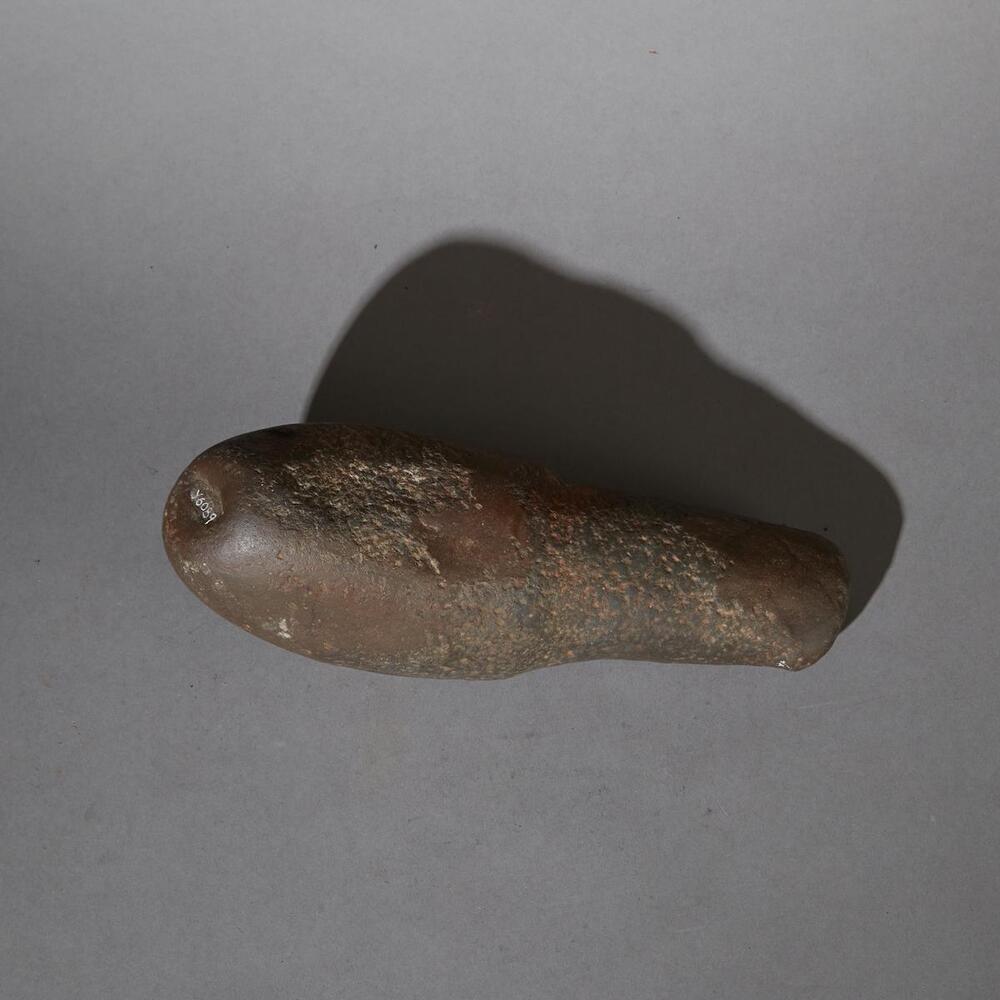 A Patu Muka, Aotearoa