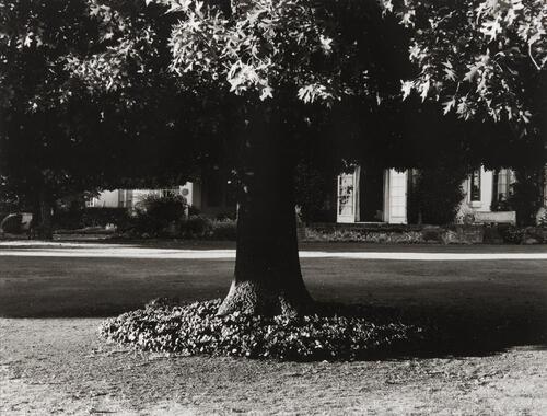 ROBIN MORRISON French Doors to the Music Room, from Images of a House ...