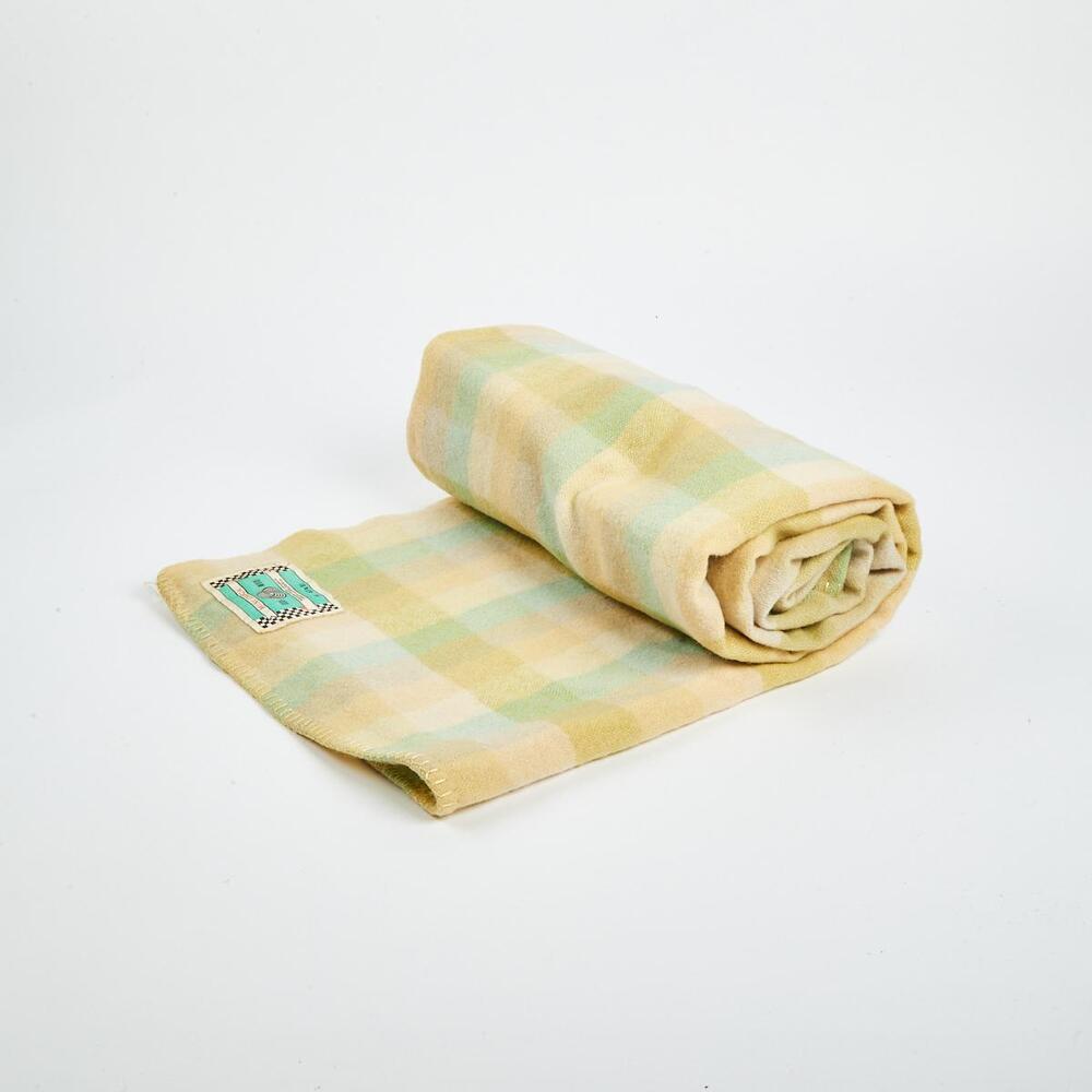 A Smith And Brown Mini Check Blanket