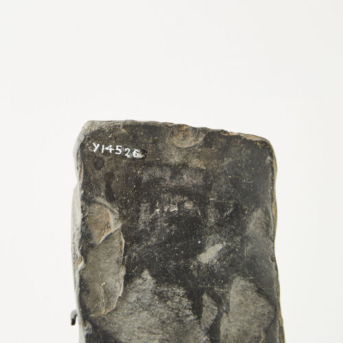 A Large Stone Toki, Aotearoa