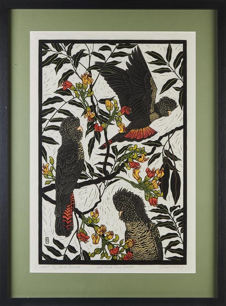 RACHEL NEWLING Red Tailed Black Cockatoo