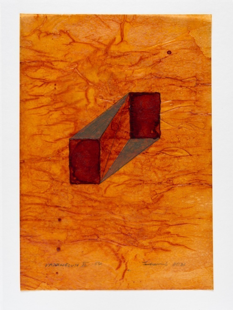 JULIA MORISON Vademecum II / 054