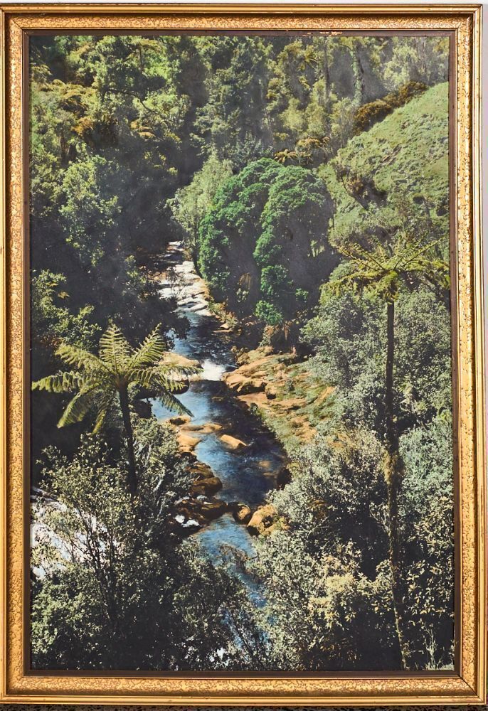 A Whites Aviation Bush Scene