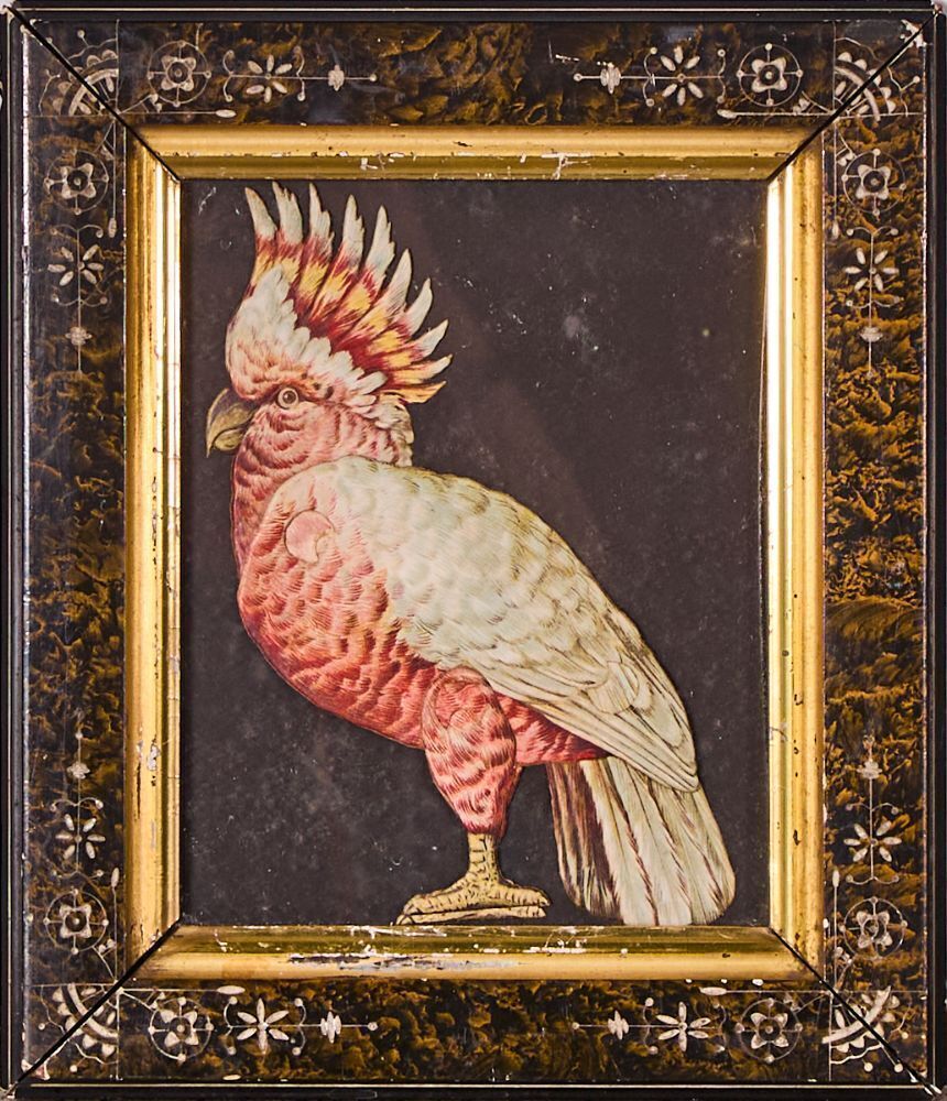 A Framed Victorian Cut Out Pink Cockatoo