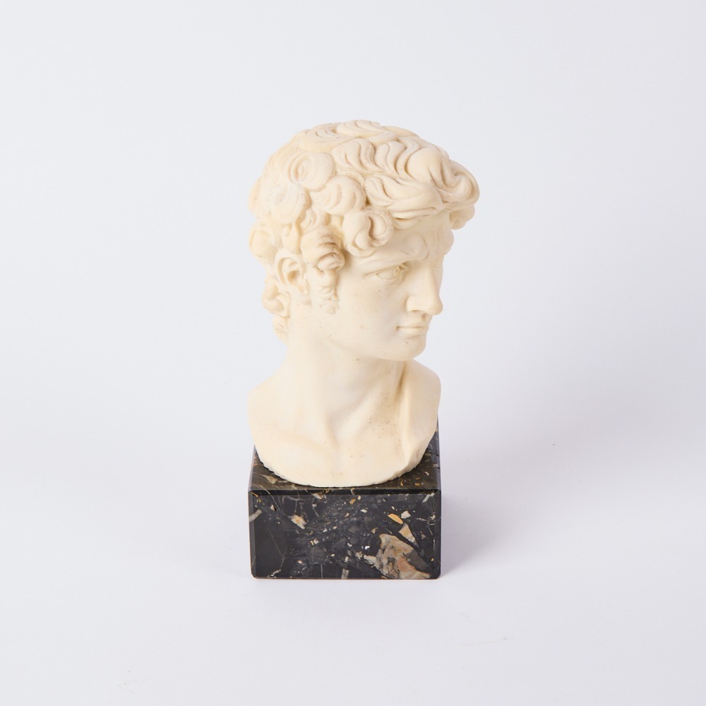 A Bust Of David With Marble Stand
